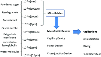 Application of microfluidic technology in food processing - Food & Function (RSC Publishing)