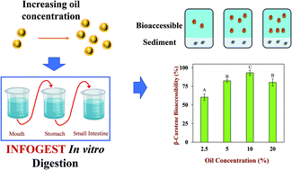 Factors impacting lipid digestion and β-carotene bioaccessibility ...