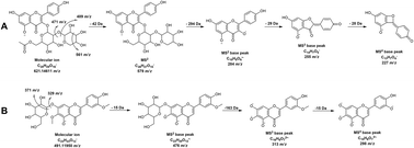 Ononis spinosa L., an edible and medicinal plant: UHPLC-LTQ-Orbitrap/MS ...