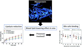 Mycoprotein ingredient structure reduces lipolysis and binds bile salts ...
