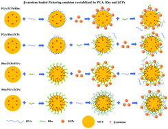 Development of β-carotene loaded oil-in-water emulsions using mixed ...