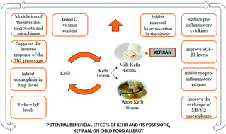 Potential beneficial effects of kefir and its postbiotic, kefiran, on ...