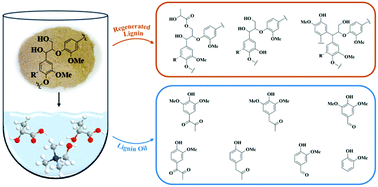 In-depth interpretation of the structural changes of lignin and ...