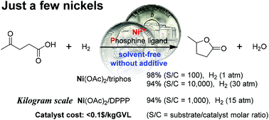 A practical and concise homogeneous nickel catalyst for efficient ...