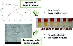 Non-ionic hydrophobic eutectics – versatile solvents for tailored metal ...