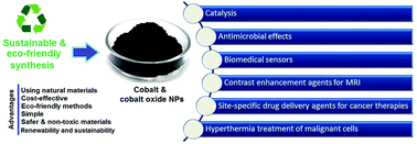 Sustainable synthesis of cobalt and cobalt oxide nanoparticles and ...