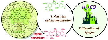 Combined lignin defunctionalisation and synthesis gas formation by ...