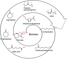 A sustainable synthetic route for biobased 6-hydroxyhexanoic acid ...