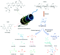 Levoglucosan: a promising platform molecule? - Green Chemistry (RSC ...