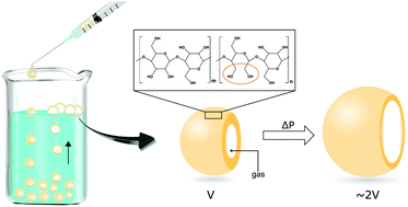 Wet-expandable capsules made from partially modified cellulose - Green ...