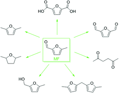 Direct conversion of biomass derived l-rhamnose to 5-methylfurfural in ...