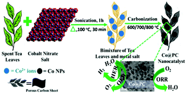 Spent tea leaves templated synthesis of highly active and durable ...