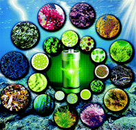 Algae-based electrochemical energy storage devices - Green Chemistry ...