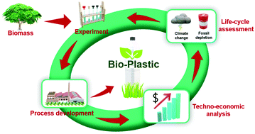 Production of a sustainable and renewable biomass-derived monomer ...