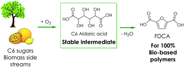 A unique pathway to platform chemicals: aldaric acids as stable ...