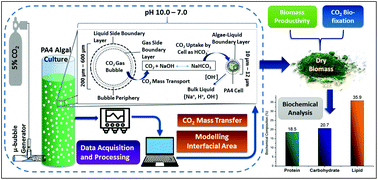 High-rate CO2 sequestration using a novel venturi integrated ...