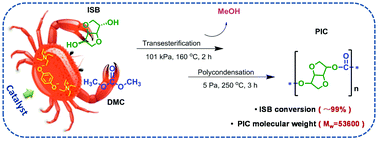 Synthesis of bio-based polycarbonate via one-step melt polycondensation ...