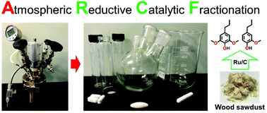 Highly selective reductive catalytic fractionation at atmospheric ...
