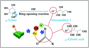 Regulating TiO2/MXenes catalysts to promote photocatalytic performance ...