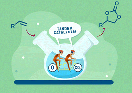 Tandem catalysis: one-pot synthesis of cyclic organic carbonates from ...