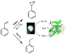 Controlling product selectivity with nanoparticle composition in tandem ...