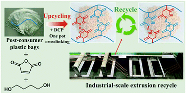 Upcycling of post-consumer polyolefin plastics to covalent adaptable ...