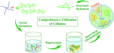 Comprehensive utilization strategy of cellulose in a facile ...