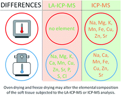 The impact of sample preparation on the elemental composition of soft ...