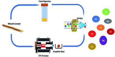 Direct multi-element analysis of natural toothbrush by electrothermal ...