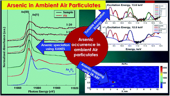Synchrotron X-ray fluorescence and X-ray absorption near edge structure ...