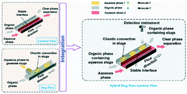 Liquid–liquid–liquid three-phase microsystem: hybrid slug flow–laminar ...