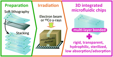 A simple method for production of hydrophilic, rigid, and sterilized multi-layer 3D integrated ...