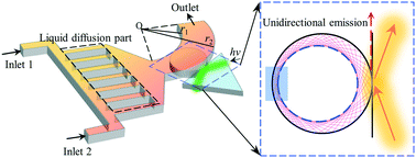 Optofluidic gradient refractive index resonators using liquid diffusion for tunable ...