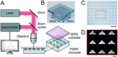 Bacteria encapsulation and rapid antibiotic susceptibility test using a ...