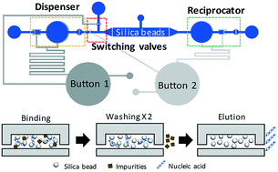 Reciprocating flow-assisted nucleic acid purification using a finger ...