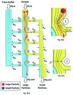 Scaling of deterministic lateral displacement devices to a single ...