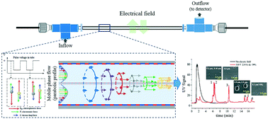 Open-tubular radially cyclical electric field-flow fractionation (OTR ...