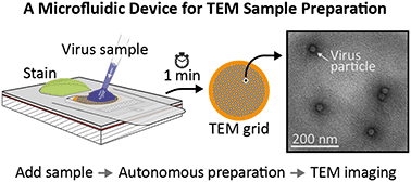 A microfluidic device for TEM sample preparation - Lab on a Chip (RSC ...