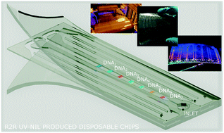 High-throughput roll-to-roll production of polymer biochips for ...