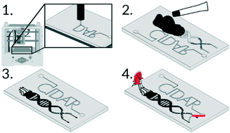 Rapid and inexpensive microfluidic electrode integration with ...