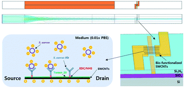 Integrated microfluidic platform with electrohydrodynamic focusing and ...