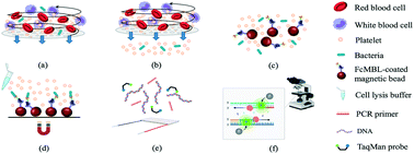 An integrated microfluidic system for early detection of sepsis ...