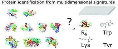 Machine learning-aided protein identification from multidimensional ...