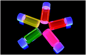 Near-infrared fluorescent protein and bioluminescence-based probes for ...