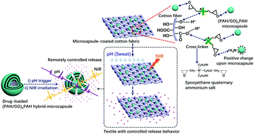 Hybrid poly(allylamine hydrochloride)–graphene oxide microcapsules ...