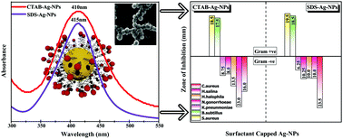 The wet chemical synthesis of surfactant-capped quasi-spherical silver ...