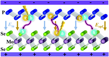 A type-II blue phosphorus/MoSe2 van der Waals heterostructure: improved ...