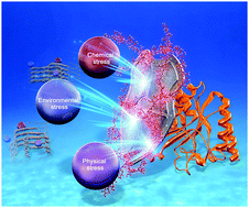 Review of the current state of protein aggregation inhibition from a ...