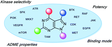 Recent developments in anticancer kinase inhibitors based on the ...