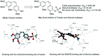 Design, synthesis and biological evaluation of combretastatin A-4 sulfamate derivatives as ...